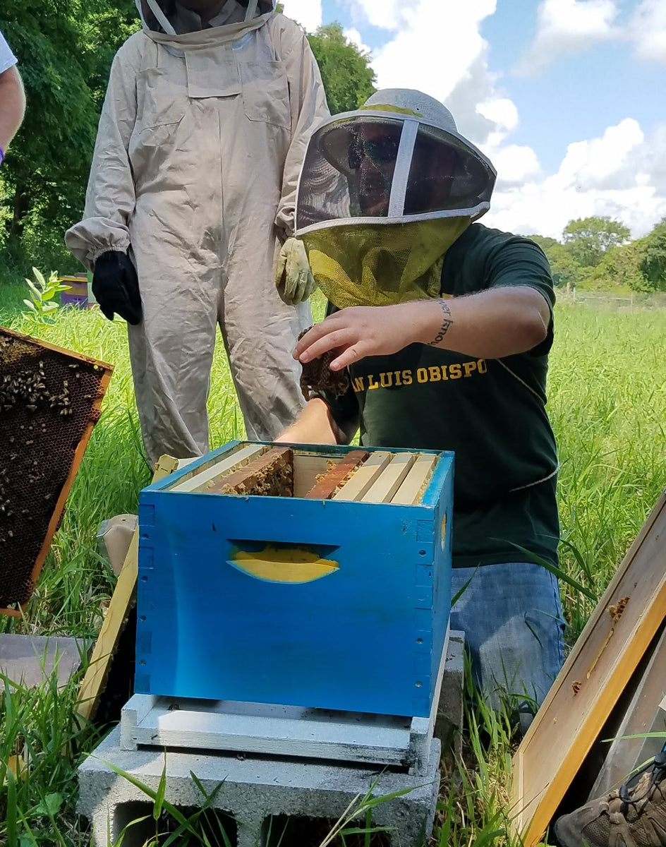 Heroes to Hives teaches veterans beekeeping skills – Bee Wise Farms, LLC