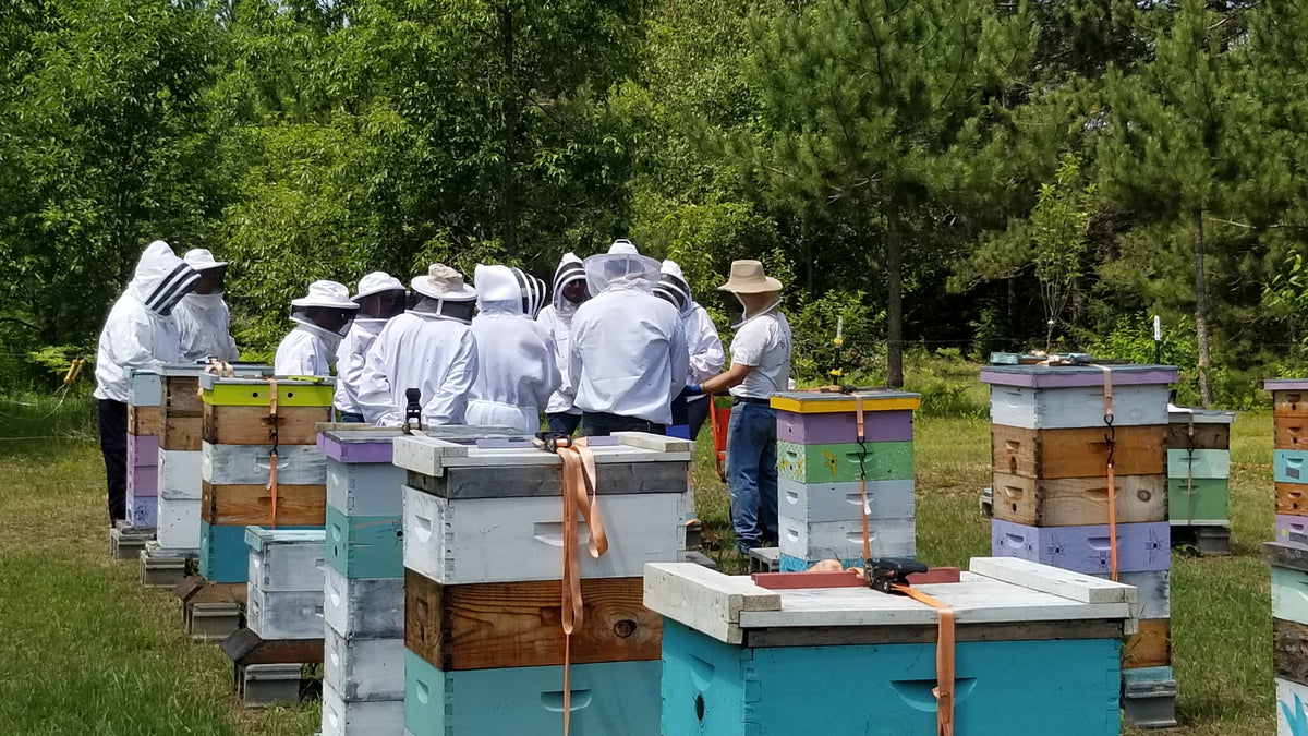 Bee Camp – Bee Wise Farms, LLC