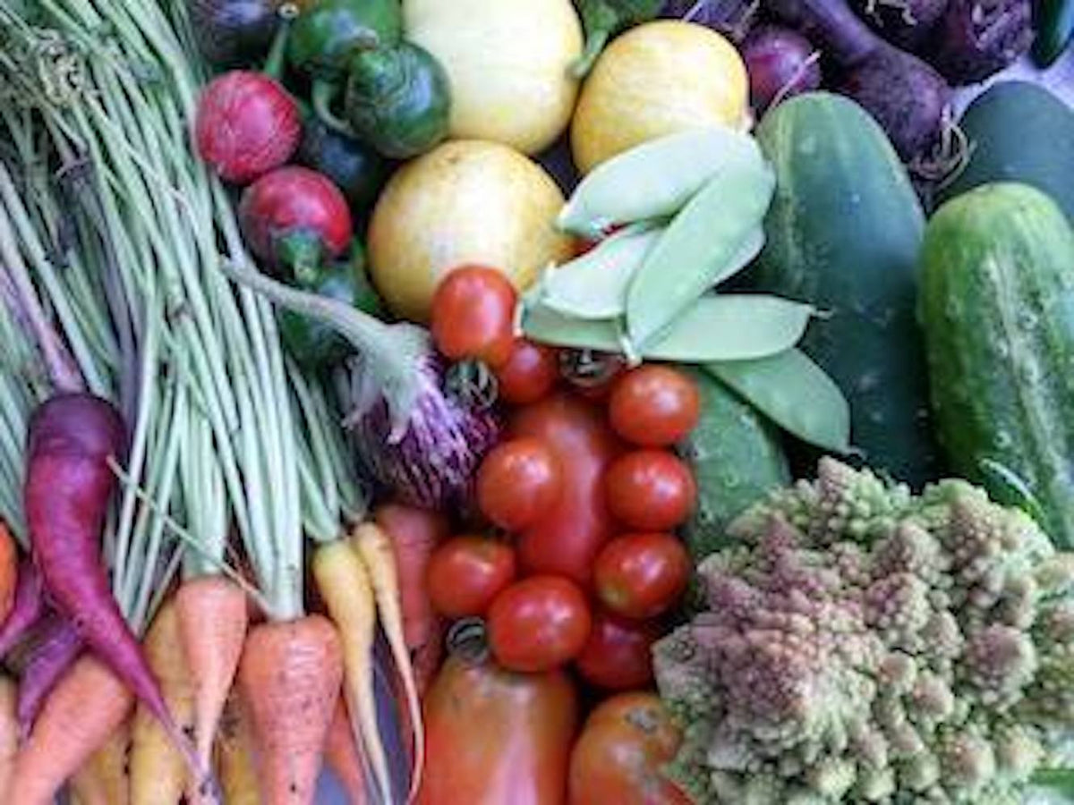 Younger farmers are a growing portion of Farm Credit borrowers – Bee ...